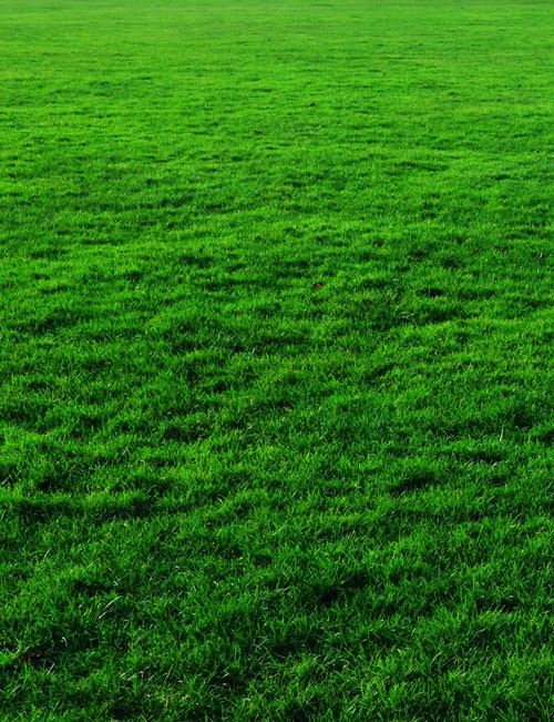 land | Navana Real Estate Ltd. | A Leading Real Estate Company in ...